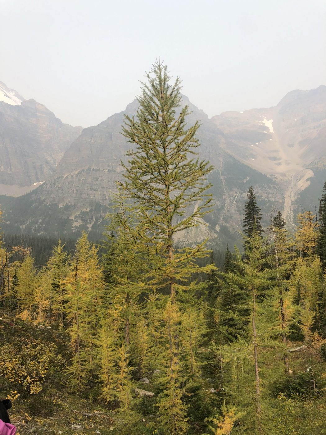 Giant Steps Hike - Edventure Blog