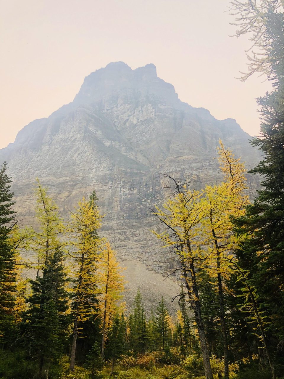 Giant Steps Hike - Edventure Blog