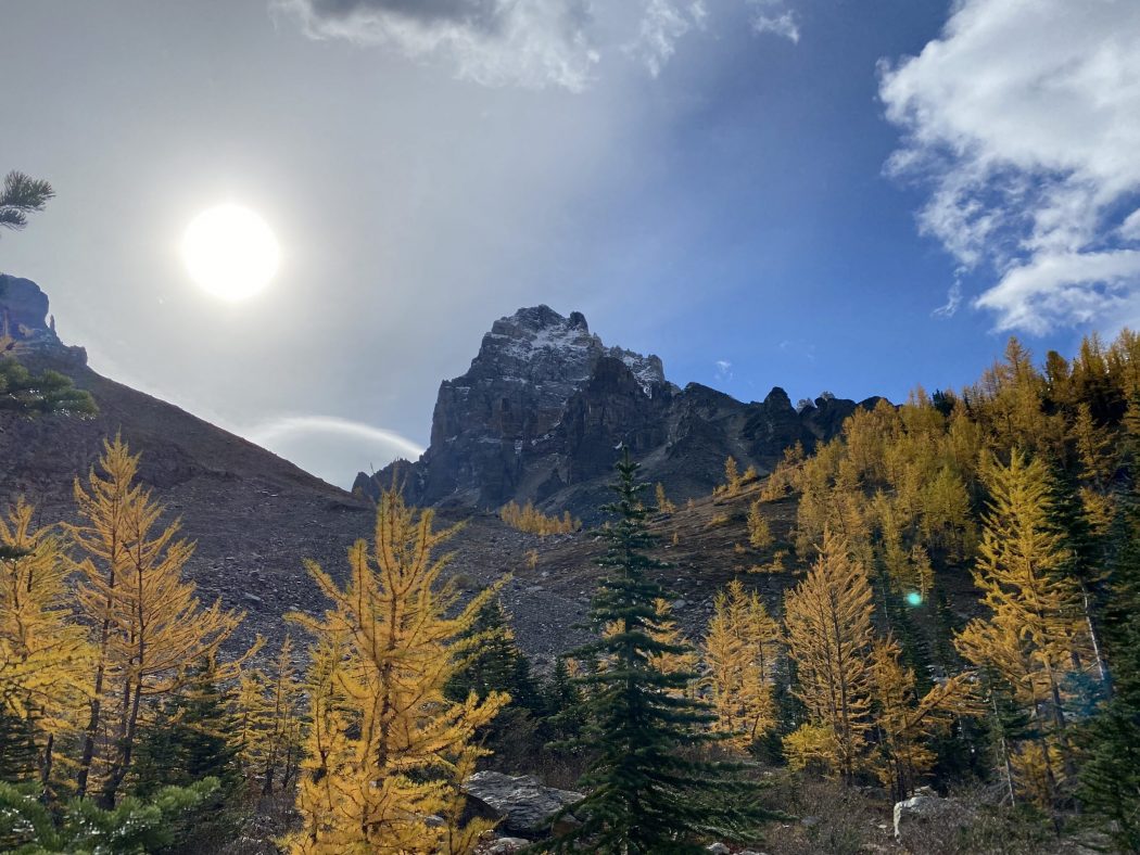 Giant Steps Hike - Edventure Blog