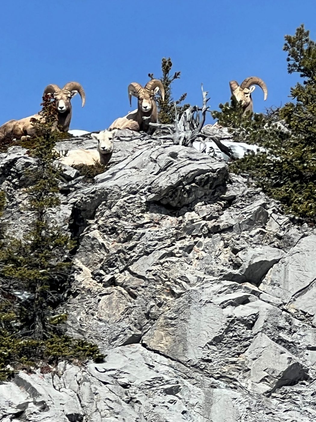 Loder Peak - Edventure Blog