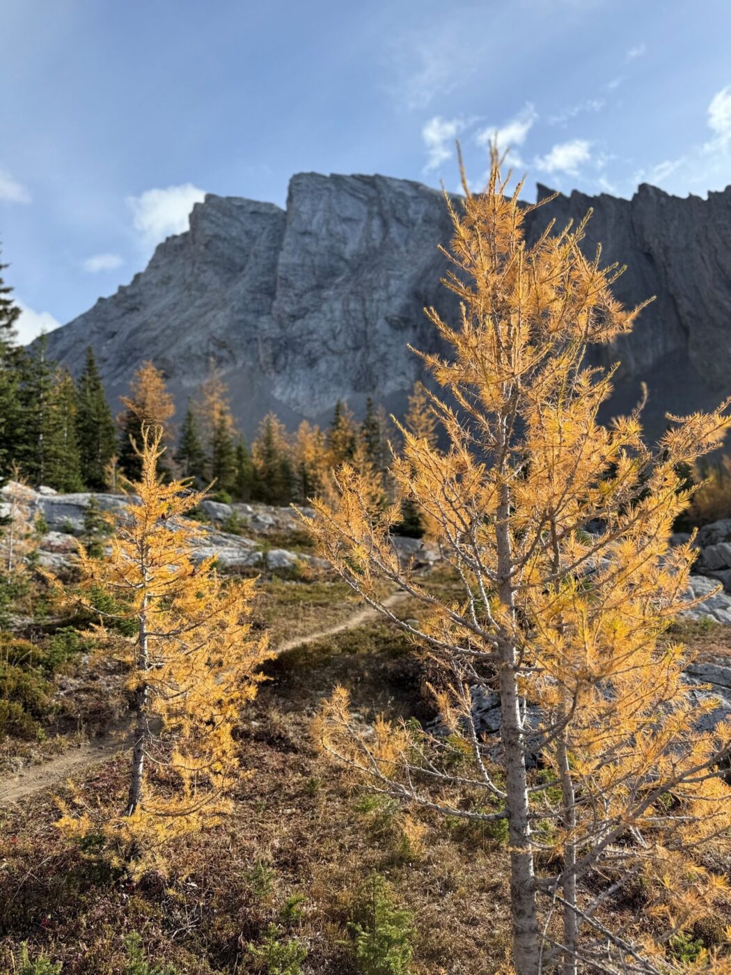 Chester Lake Hike - Edventure Blog